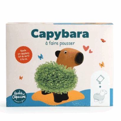 Xcapybara-terre-cuite-poreuse-avec-graines-de-chia-jpg-pagespeed - Le ...